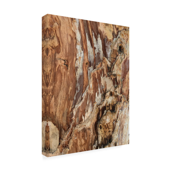 Millwood Pines Tree Texture Triptych I On Canvas by Norm Stelfox Canvas ...