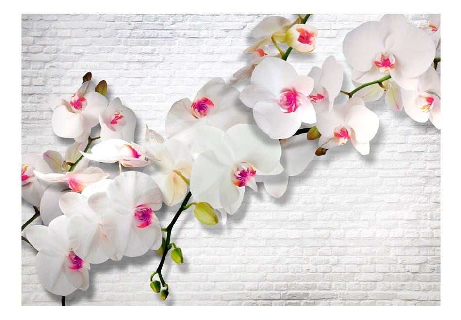 Fly Trend King, LLC Wall Mural - Wall Full of Orchids | Wayfair