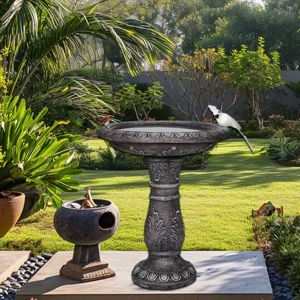 Alcott Hill® Outdoors Bird Bath Vintage Carved Pedestal Birdbath | Wayfair