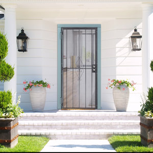 Grisham Iron Security Screen Door Conveys, Black | Wayfair