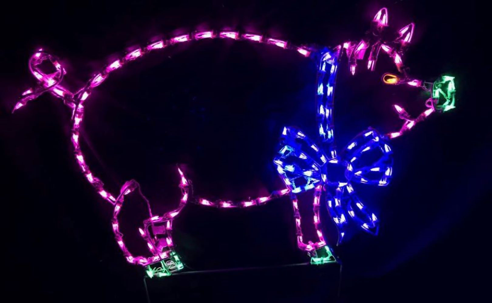 Lori's Lighted D'Lites Christmas Pig with Bow Lighted Display - Wayfair ...