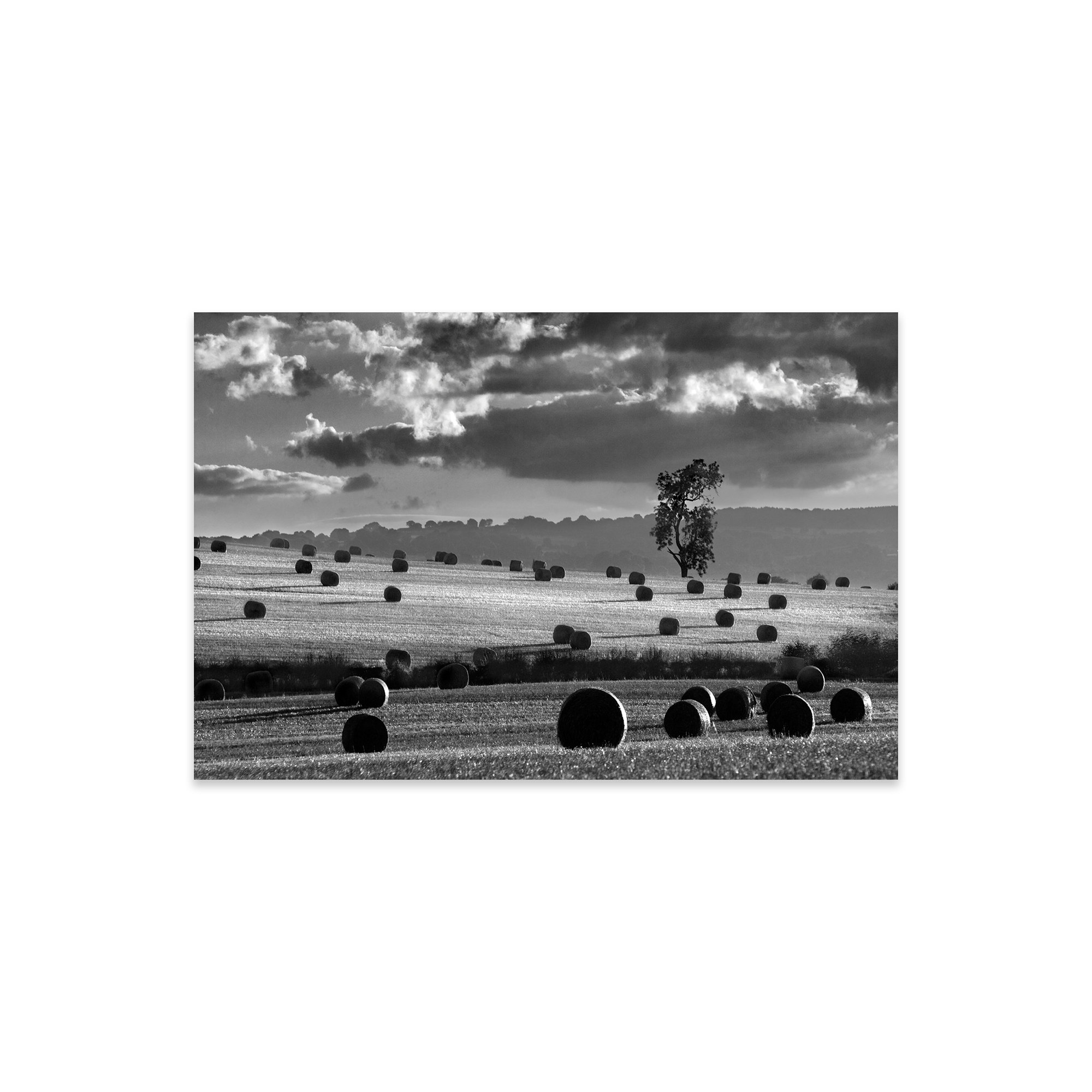 Gracie Oaks Rolls Of Hay Print On Acrylic Glass - Wayfair Canada