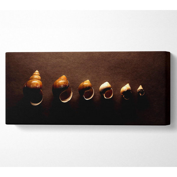 Highland Dunes Snail Shells - Wrapped Canvas Panoramic Art Prints ...