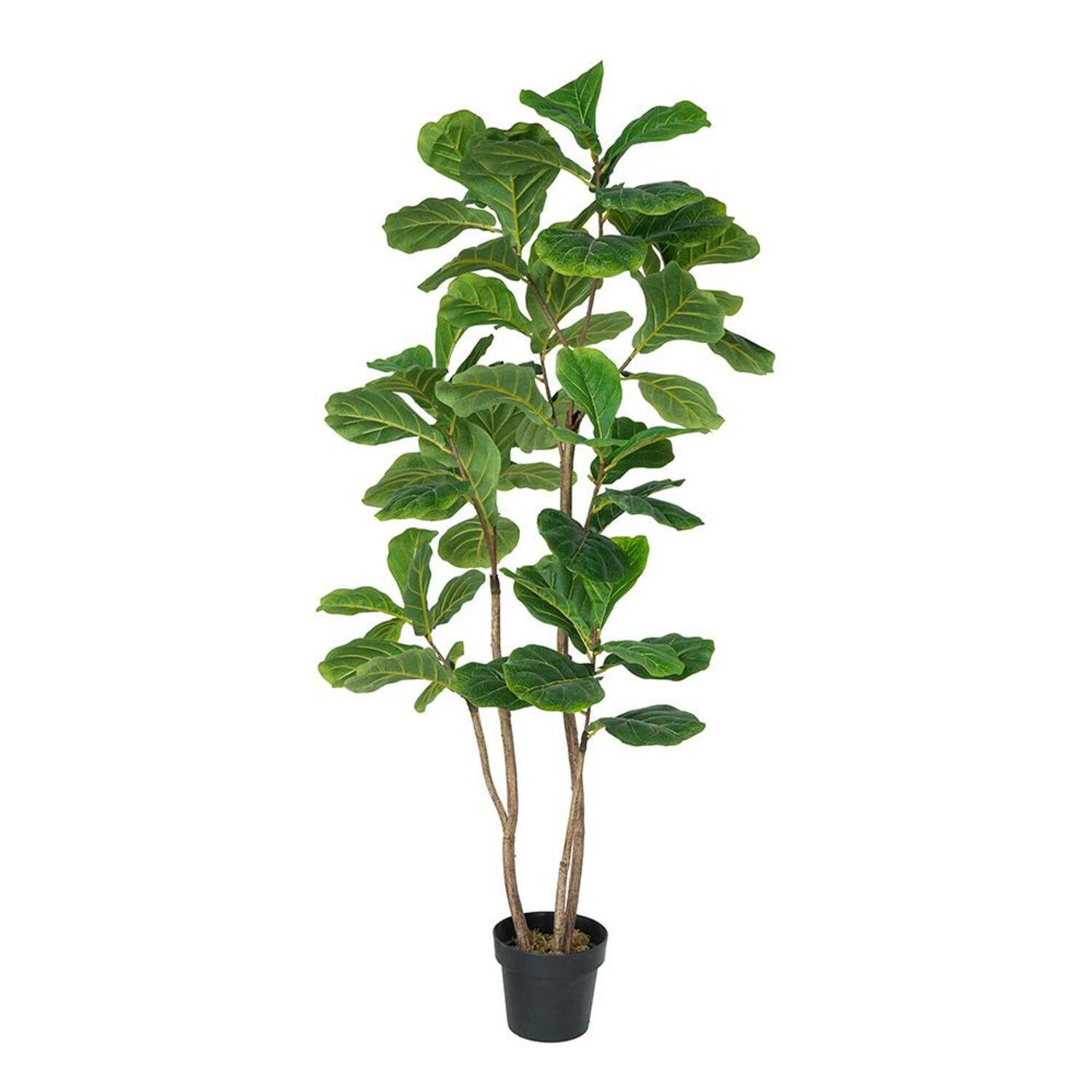 Gracie Oaks Three-Branch Fiddle Leaf Fig Tree in Pot | Wayfair