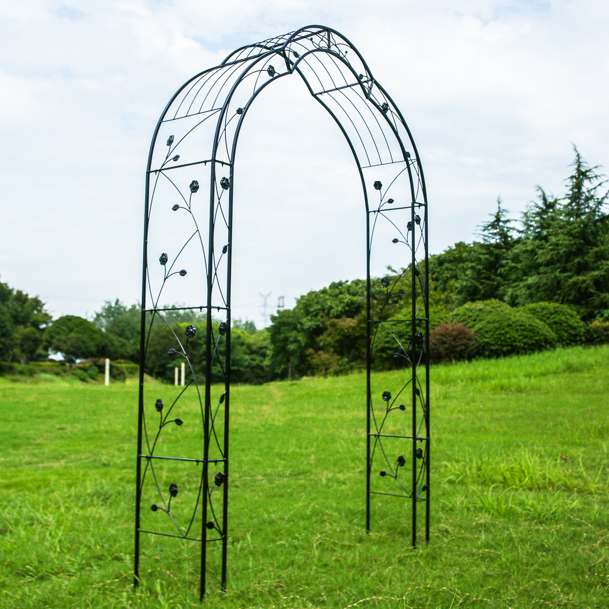 Lark Manor Metal Garden Arch for Climbing Plants, W74.4" x H98.4 ...