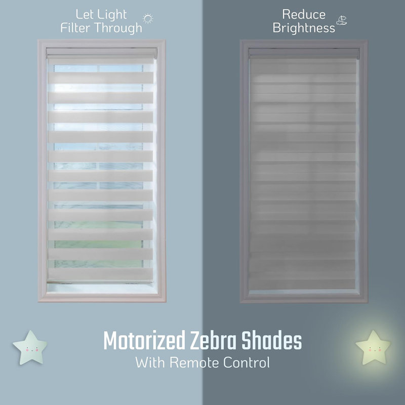 Symple Stuff Motorized Zebra Blinds with Remote Control Window Shades ...
