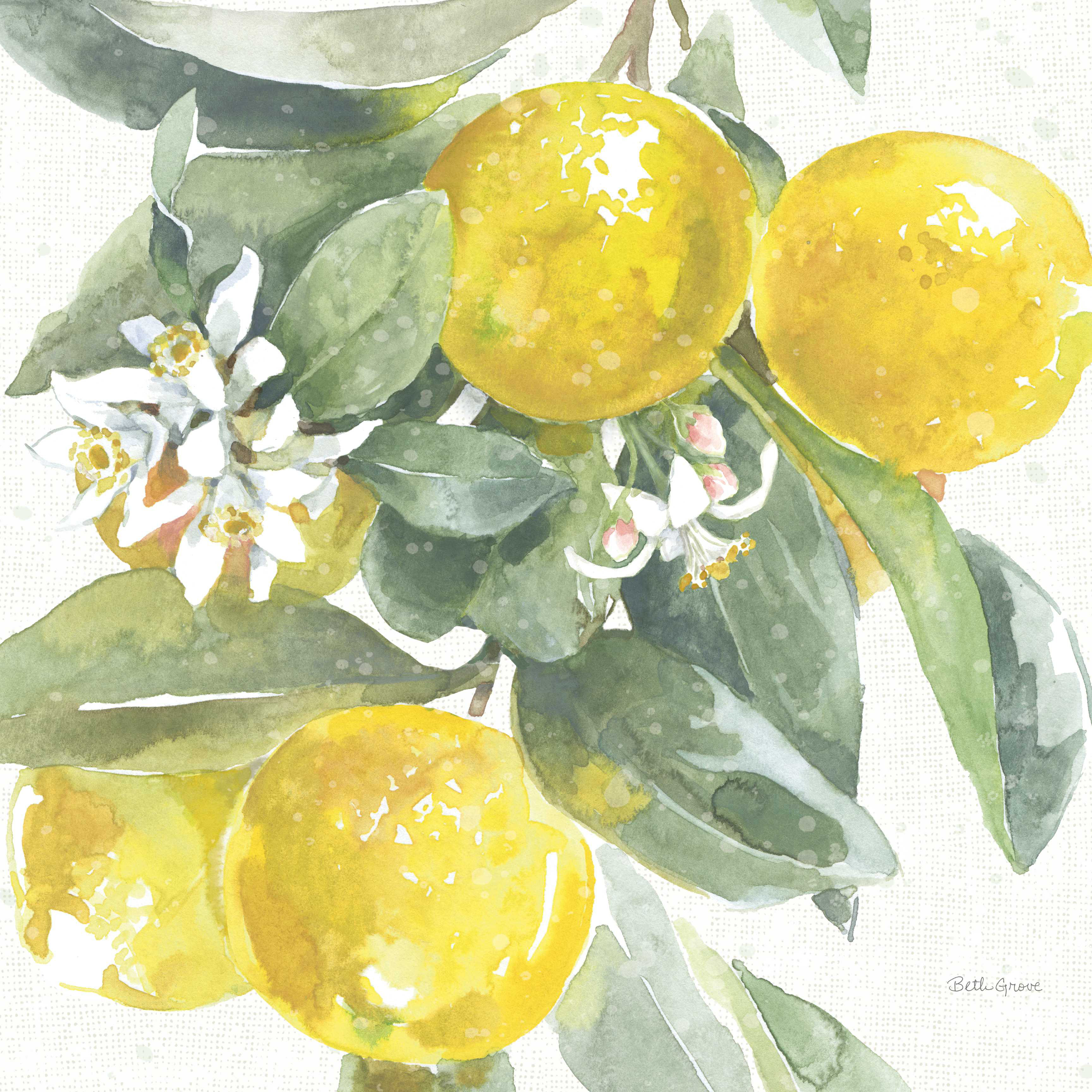 August Grove® Citrus Charm Lemons I by Beth Grove - Print on Canvas ...