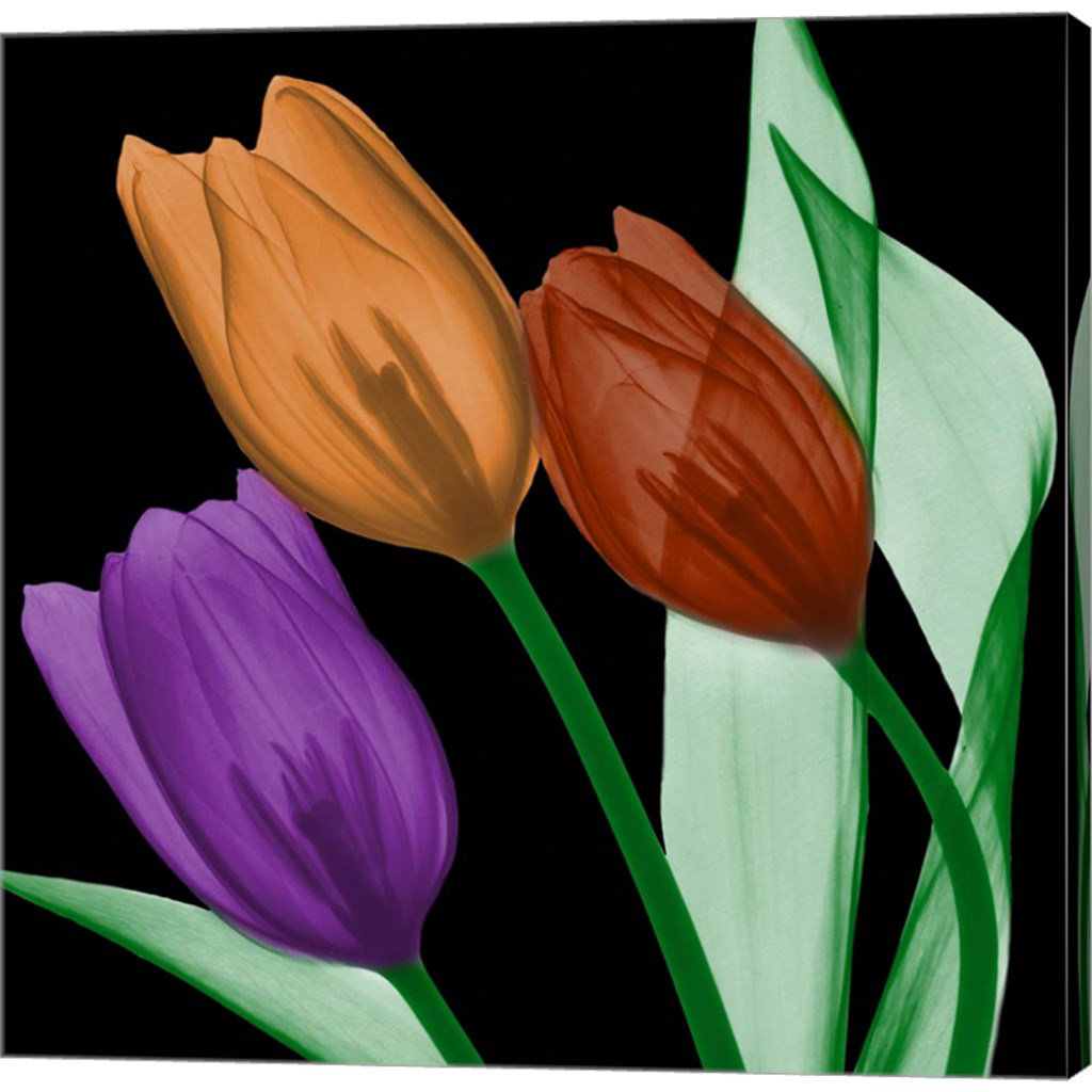 Winston Porter Jeweled Tulips 4 by Albert Koetsier - Unframed Painting ...