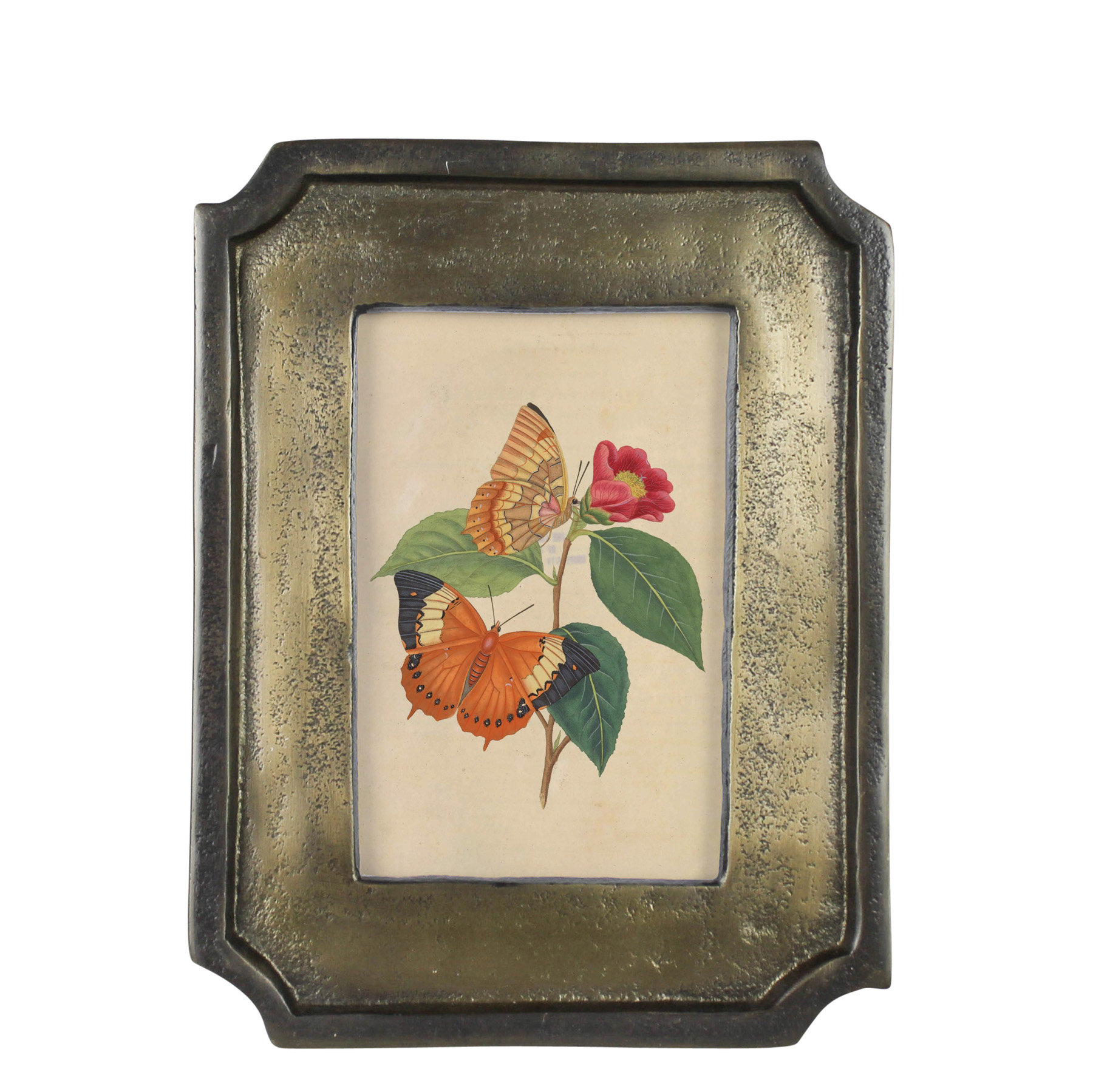 Red Barrel Studio® Beveled Frame, Brass & Black - 4X6 | Wayfair