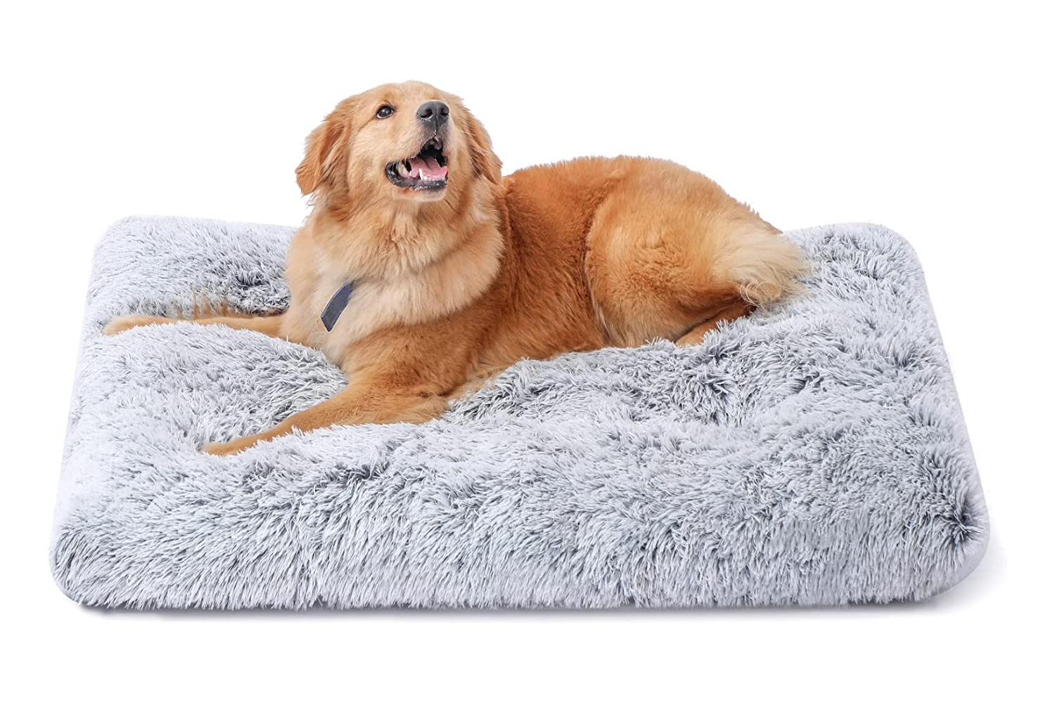 Tucker Murphy Pet™ Dog Bed,Crate Pet Bed Kennel Pad,Soft Plush Washable ...