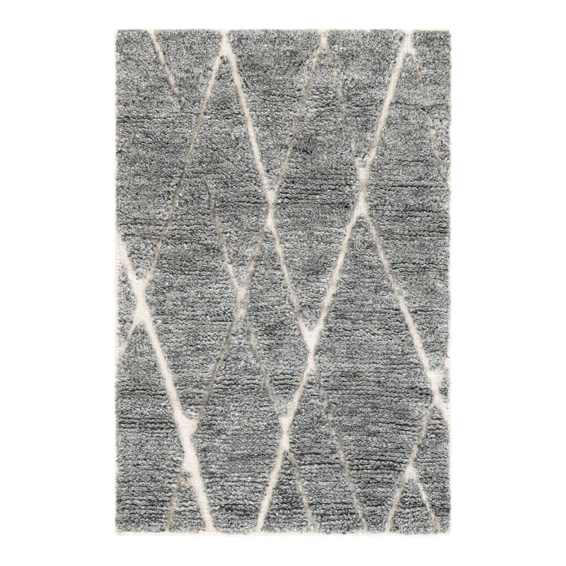 Foundry Select Tureka Rug & Reviews | Wayfair