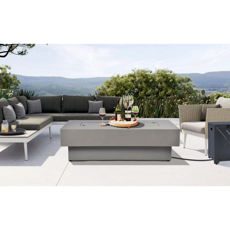 Akida 14.5'' H x 48'' W Steel Propane Outdoor Fire Pit Table with Lid