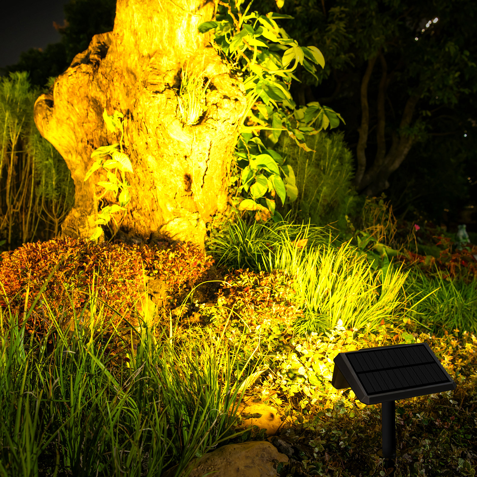 WYZM 40 Lumens 3000K Warn White Weather Resistant Outdoor Solar Path ...