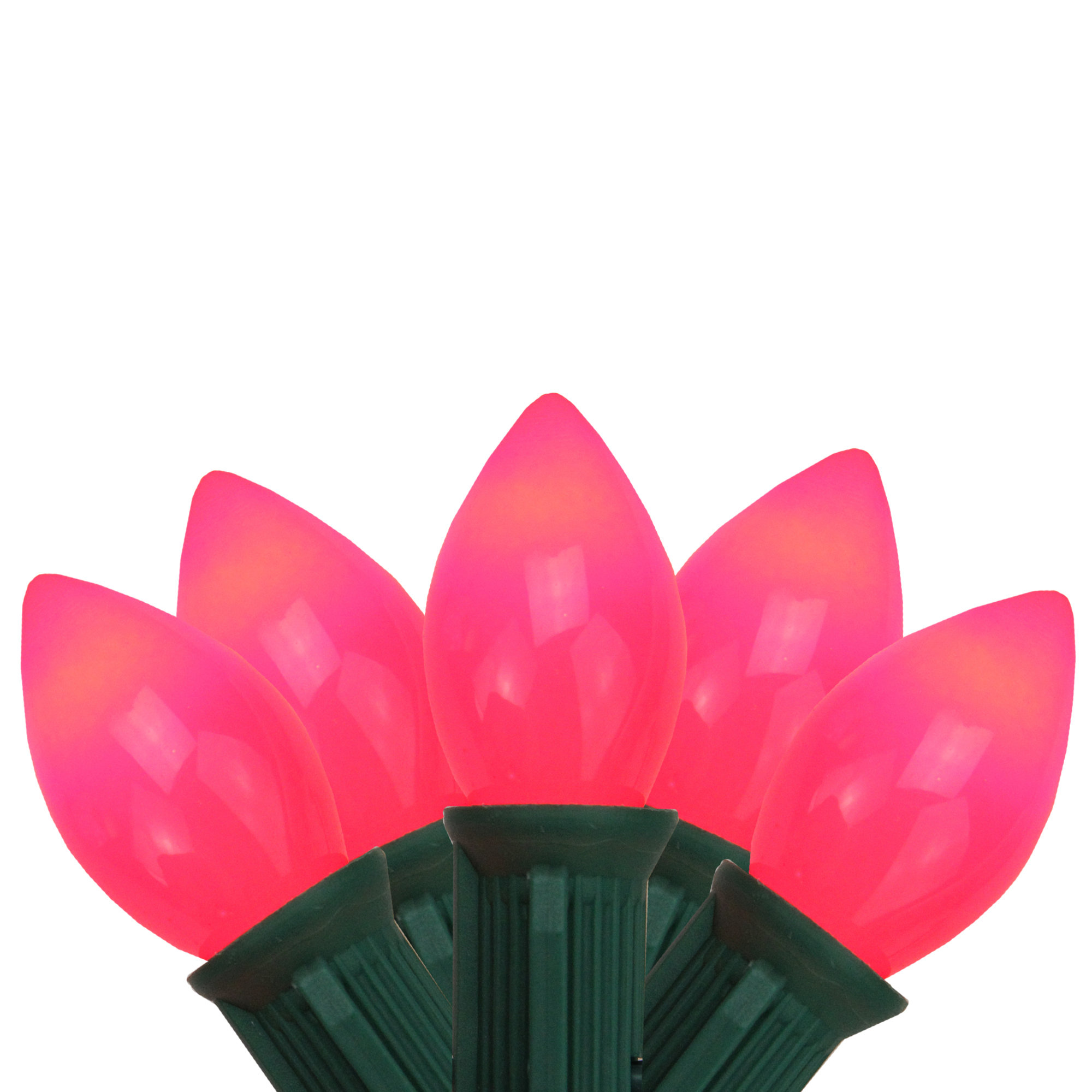 Sienna Lighting 25 Opaque LED Retro C7 Christmas Lights | Wayfair