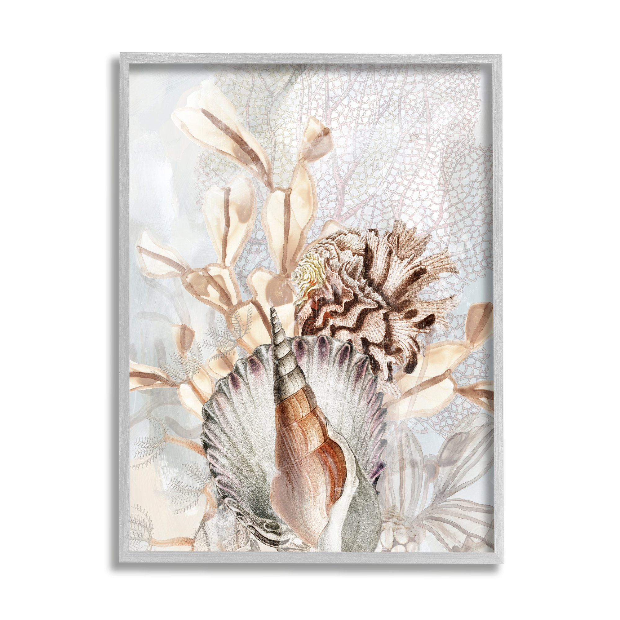 Stupell Industries Az-928-Framed " Various Beige Sea Life " by June ...