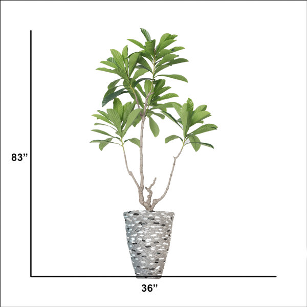 Vintage Home 83"H Vintage Real Touch Japanese Blueberry Tree, Indoor ...