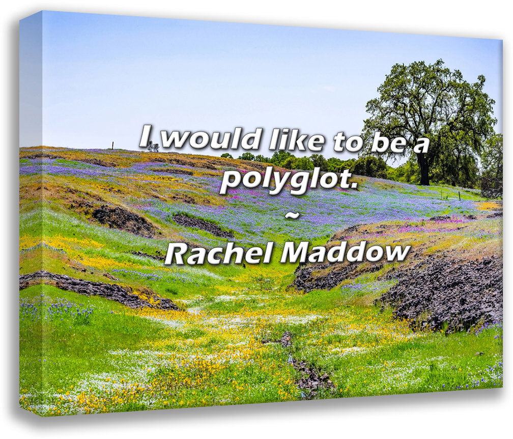 Ophelia & Co. Rachel Maddow Quote: I would like to be a polyglot. | Wayfair