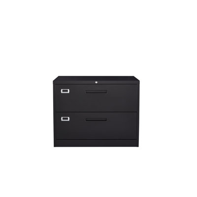Latitude Run® 2-Drawer Lateral Filing Cabinet & Reviews | Wayfair