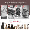 Tucker Murphy Pet™ Durable Dividable Dog Crate with Divider Panel ...