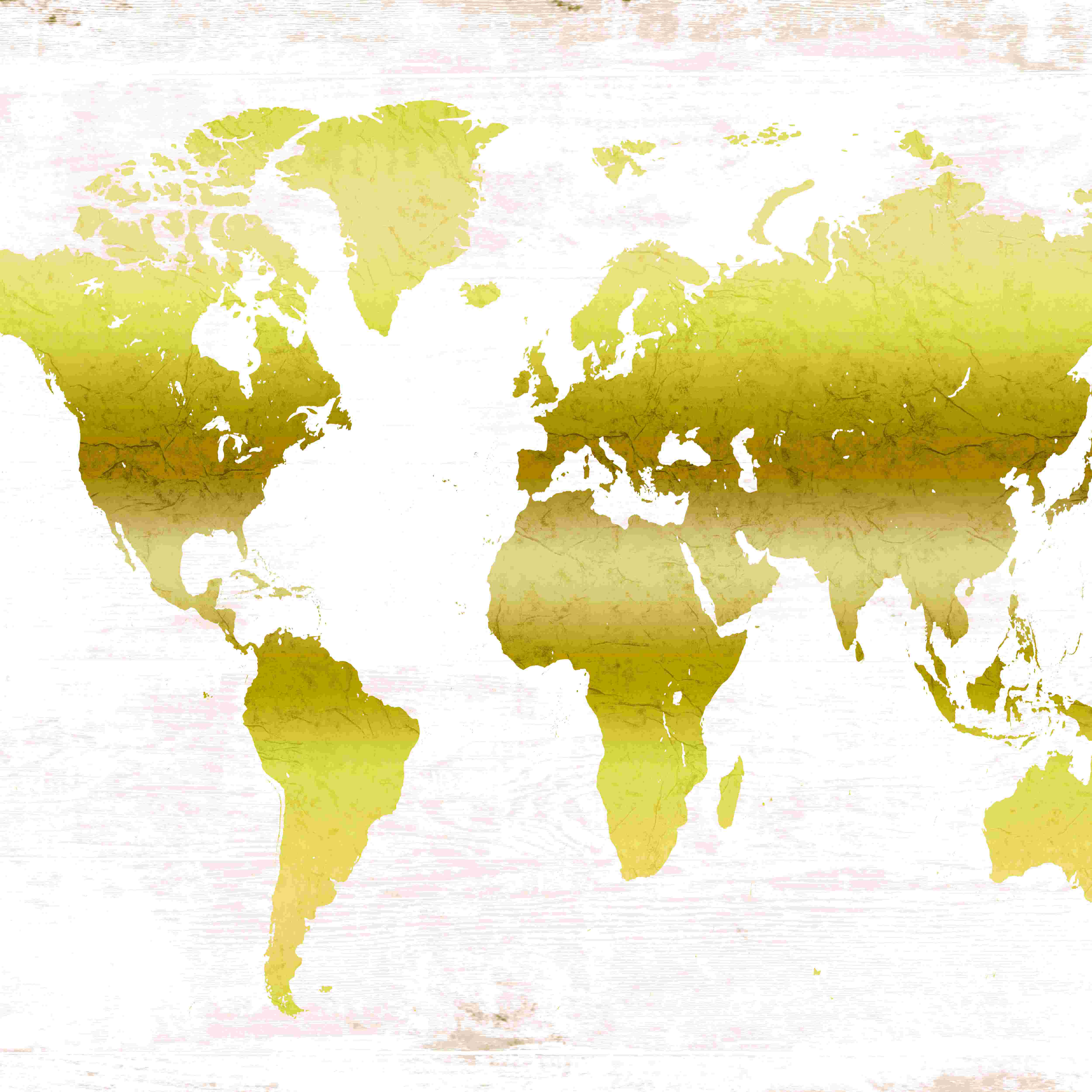 Breakwater Bay Golden Map Squished - Wayfair Canada