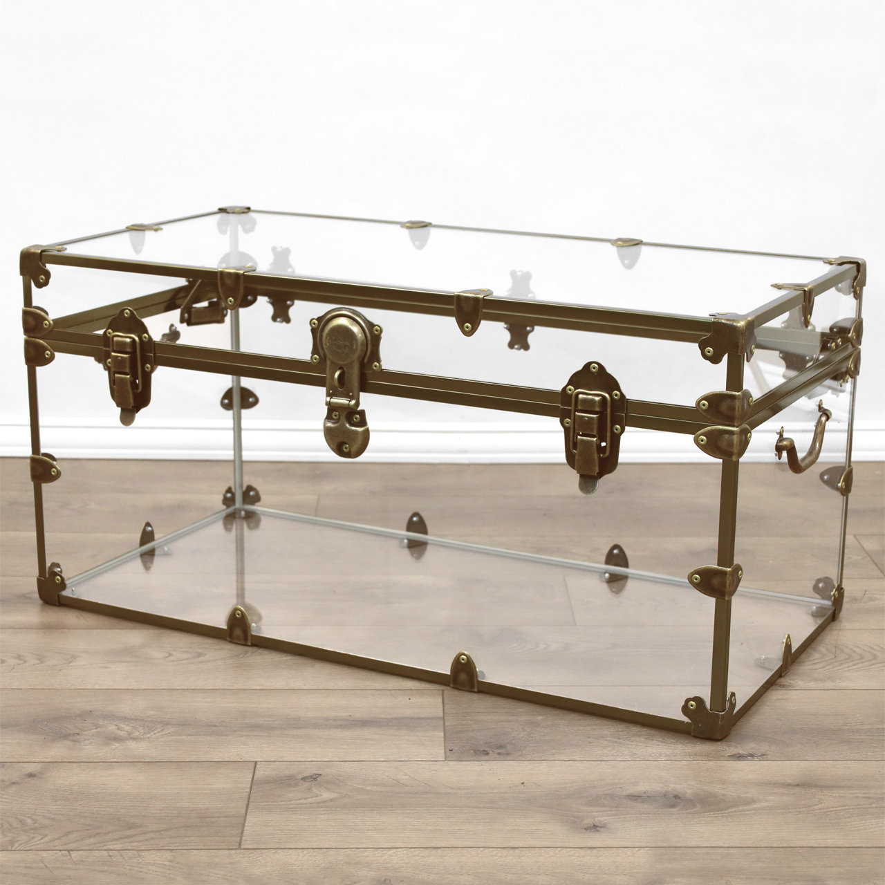 Rhino Trunk and Case Acrylic Accent Trunk | Wayfair