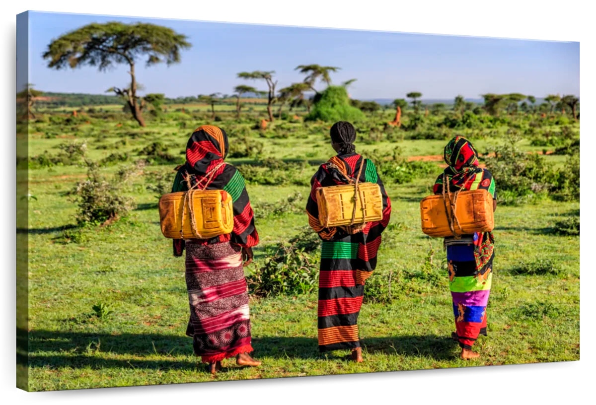 Lark Manor Leisha Borana Tribe Women - Wayfair Canada