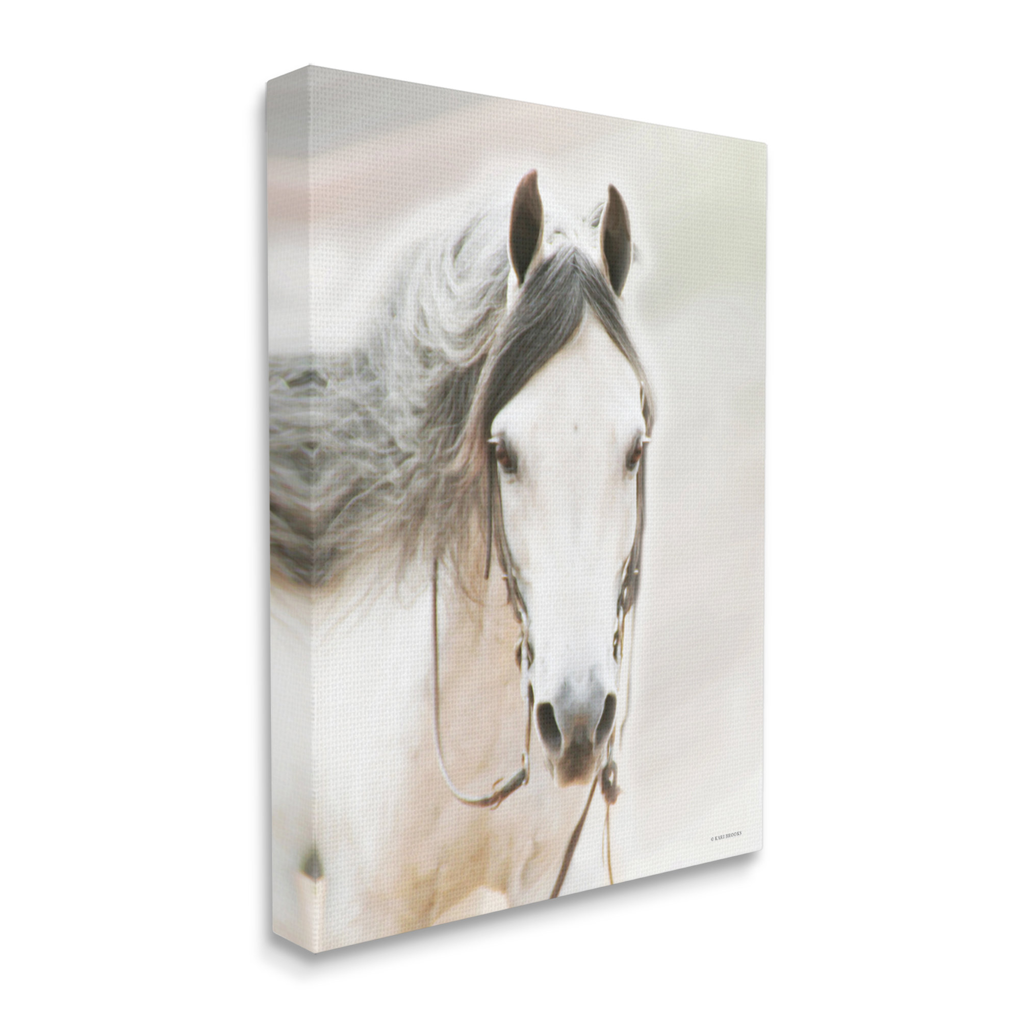 Winston Porter White Horse Portrait On Canvas by Kari Brooks Print ...