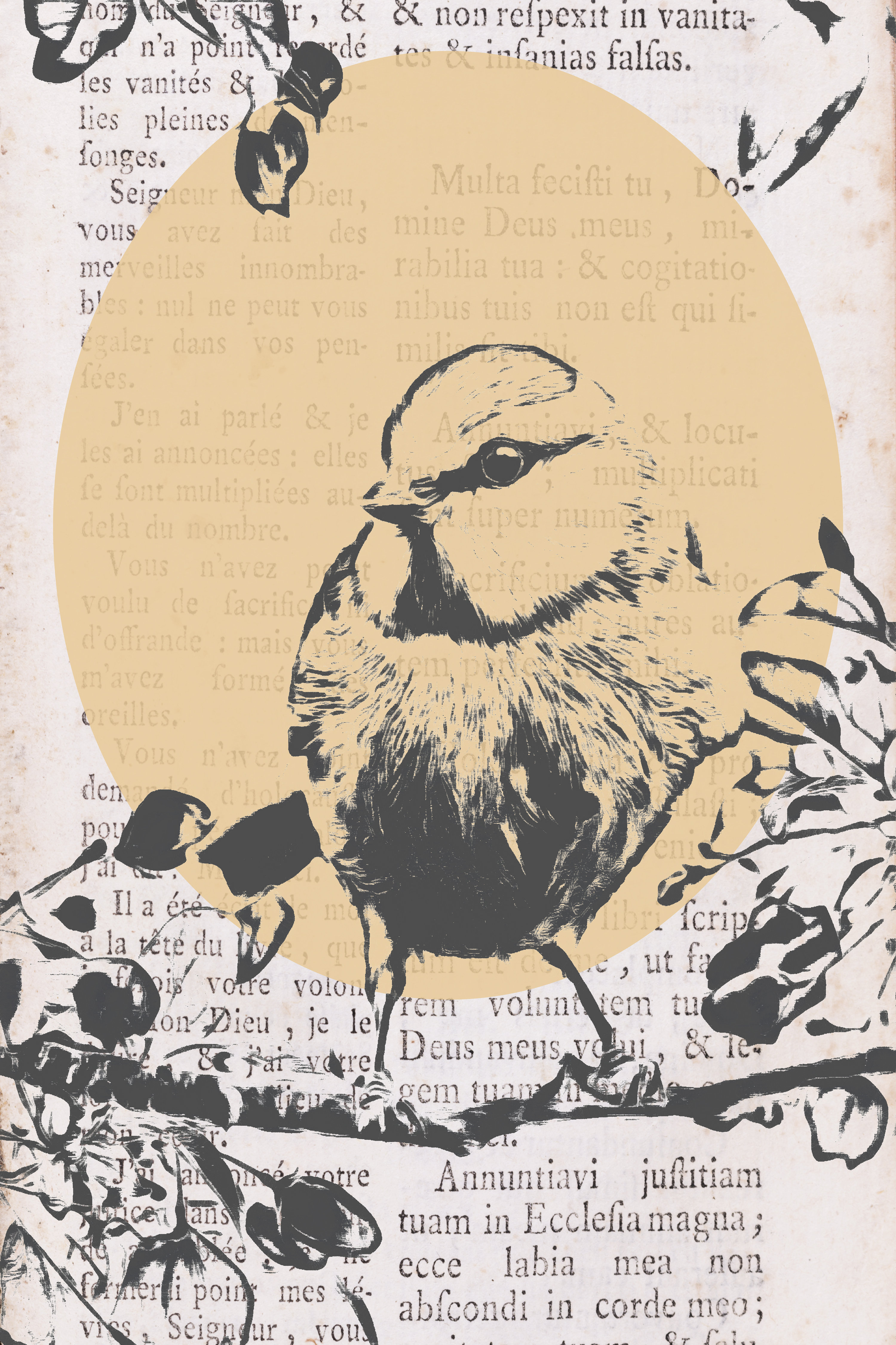 Winston Porter Tweet Tweet I On Canvas by Alonzo Saunders Print | Wayfair