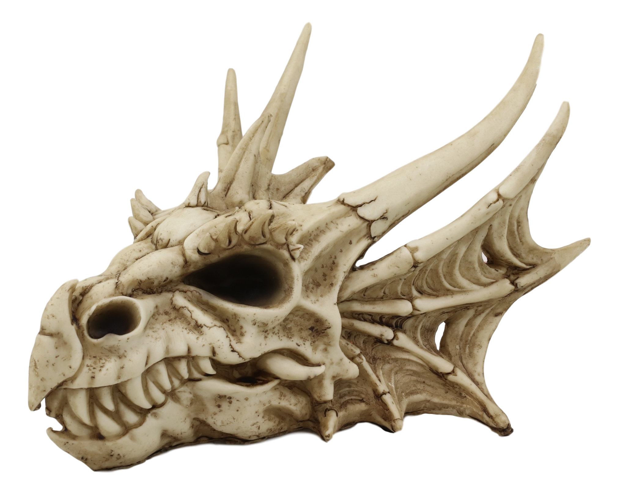 World Menagerie Pendrick Jurassic Grendel Elder Dragon Head Skull ...