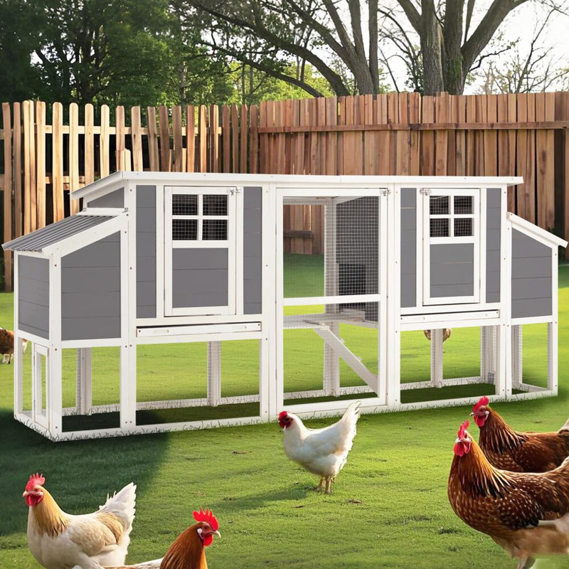 Tucker Murphy Pet™ Wood Chicken House With 4 Nesting Boxes & Pull-out ...