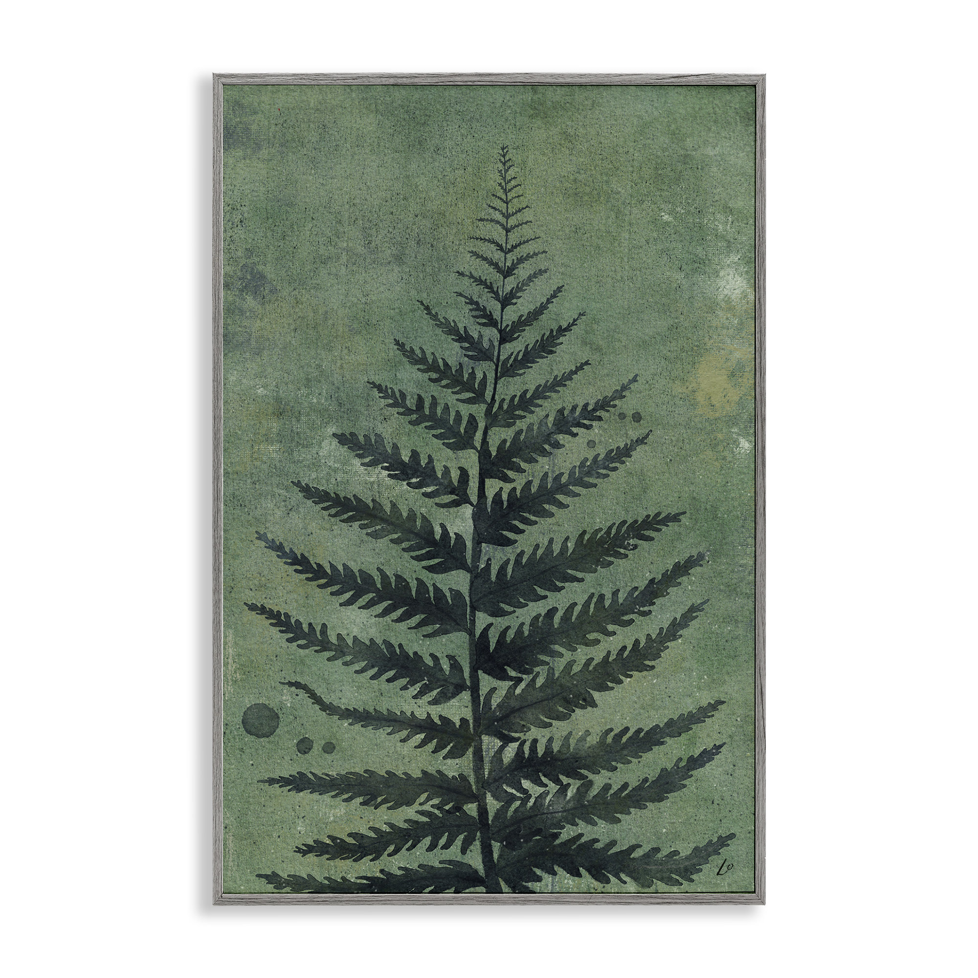 Stupell Industries Rustic Fern Impression Framed Giclee Art by Lydia ...