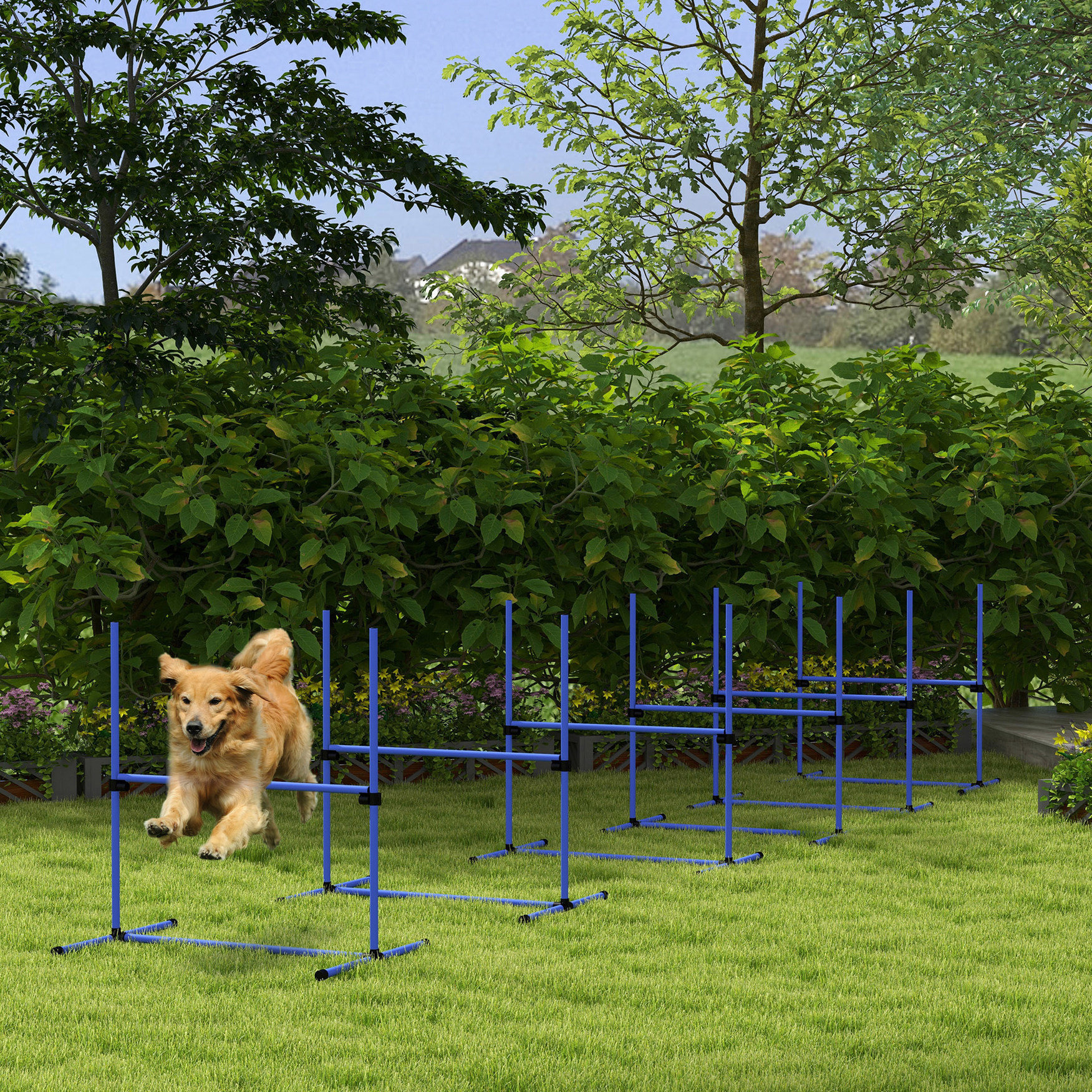 Hokku Designs Blue Dog Agility Training Equipment With 6 Adjustable ...