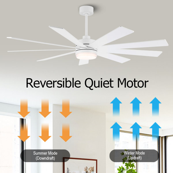 Wade Logan® Babrak 65'' Ceiling Fan with LED Lights & Reviews | Wayfair