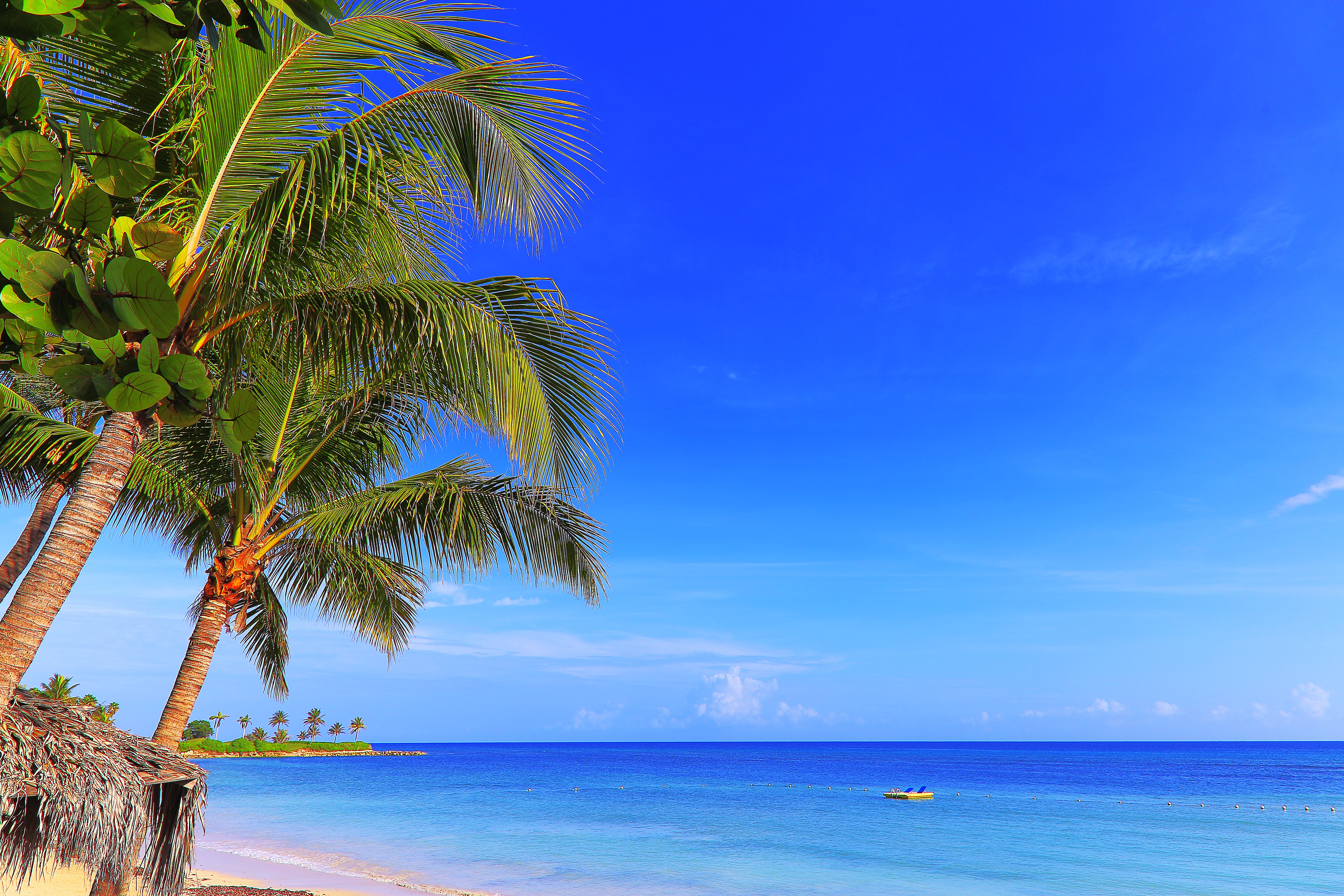 Highland Dunes Beach and Rustic Caribbean Sea by Agustavop | Wayfair
