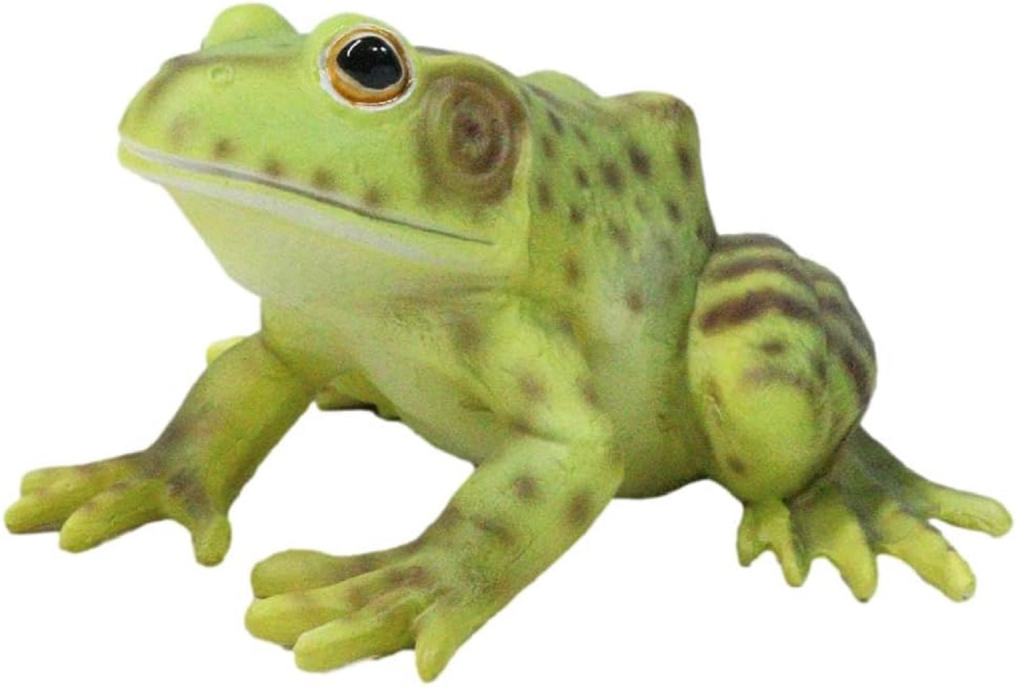 Ophelia & Co. Amphibian Wild Creatures Realistic Green Frog Decorative ...