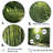 Bay Isle Home™ Dynamic Light Bamboo Grove I - Bamboo Wall Decor Set ...