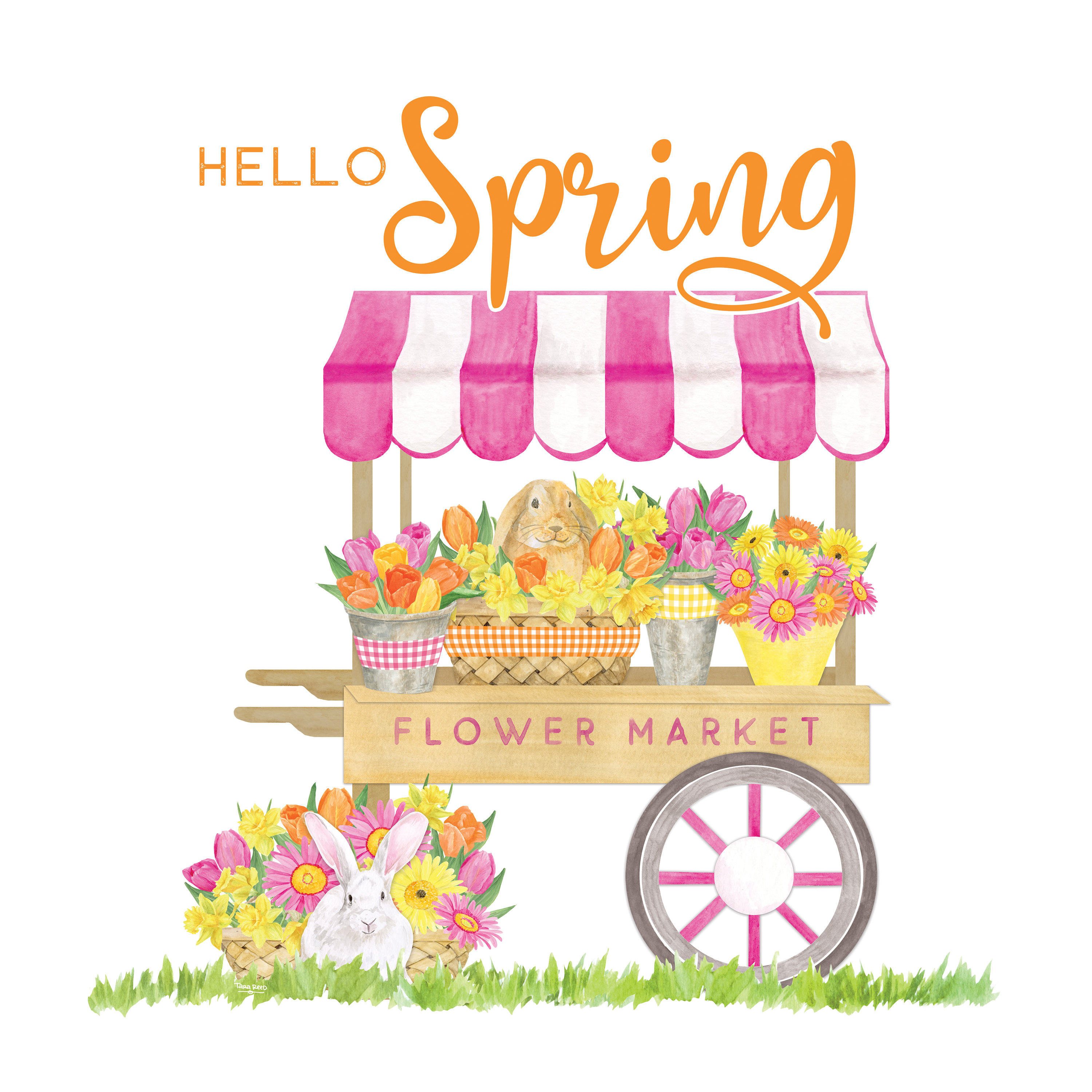 Winston Porter Hoppy Spring XXI On Canvas by Tara Reed Print | Wayfair