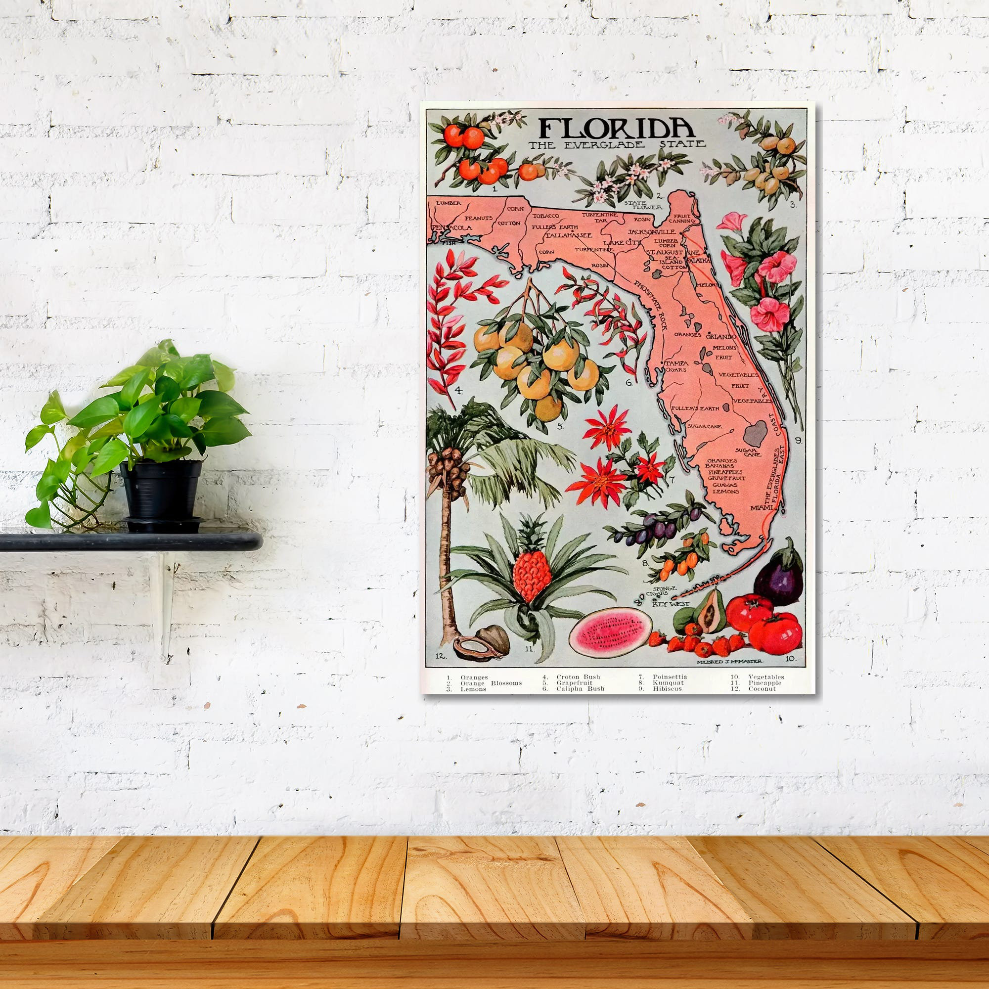 Trinx State Map of Florida (Natural Resources) - Vintage Poster ...