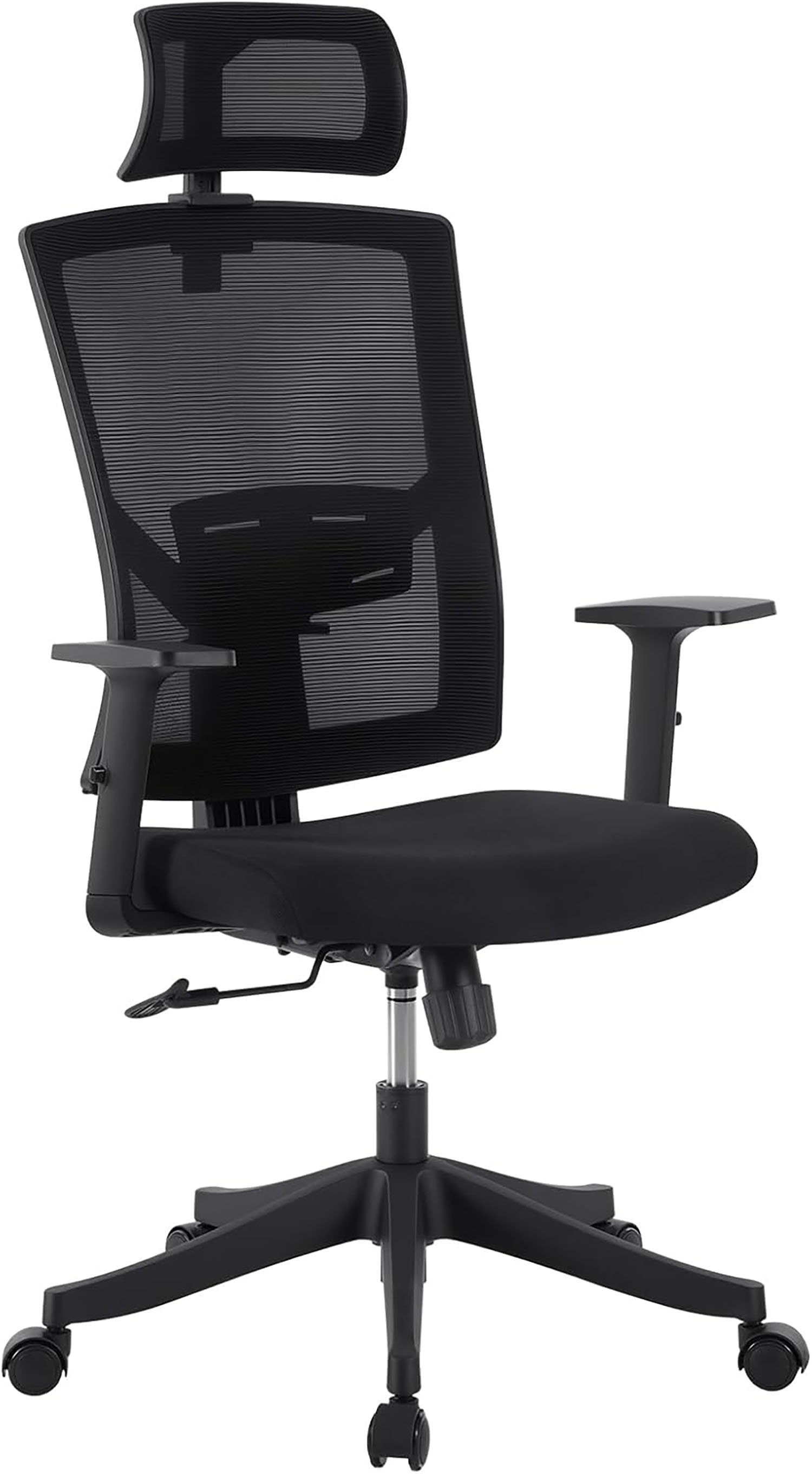 Ivy Bronx High Back Ergonomic Office Chair, Adjustable Lumbar Support ...