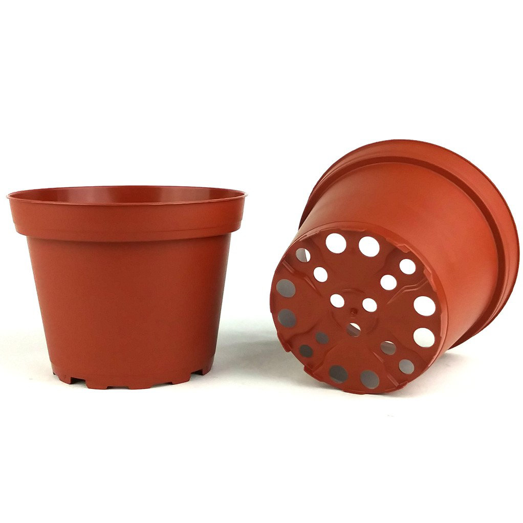 Arlmont & Co. Araminta Plastic Nursery Pot | Wayfair