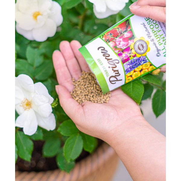 Touch Of ECO Purigrow & Natural All Purpose Plant Food - 16 Individual ...