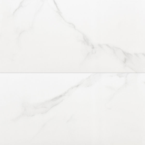 Long Island Mosaics & Tile 24" x 48" Porcelain Singular Wall & Floor ...