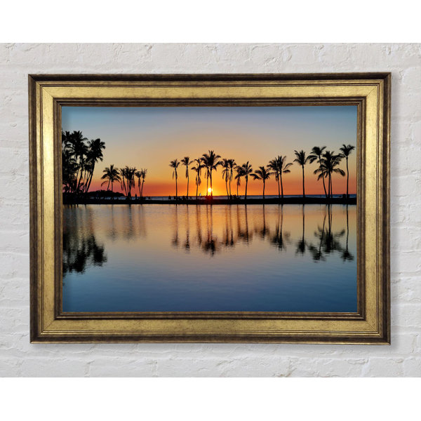 Bright Star Reflections of the Palm Trees - Picture Frame Art Prints ...