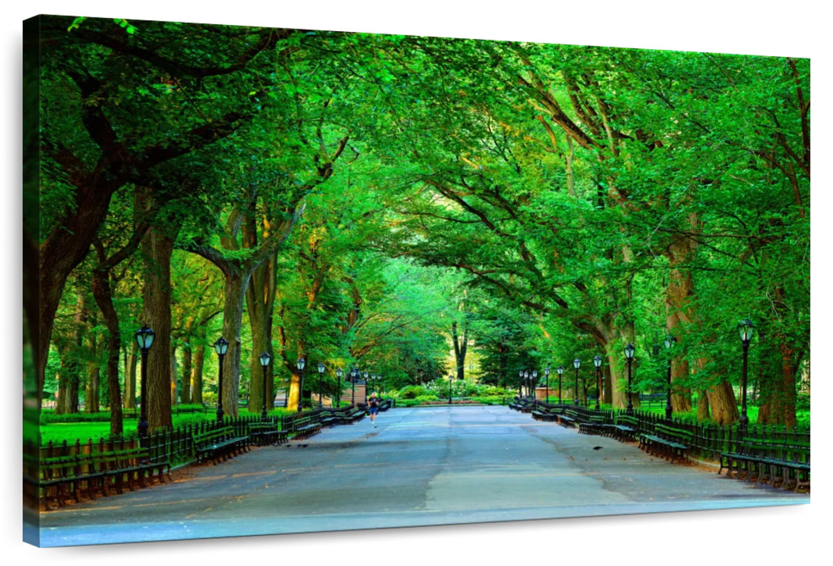 Elephant Stock Central Park The Mall | Wayfair