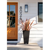 Planters You'll Love - Wayfair Canada