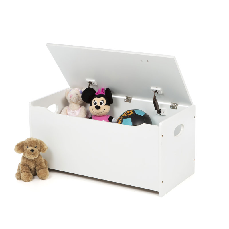 Zoomie Kids Damron Toy Box & Reviews | Wayfair
