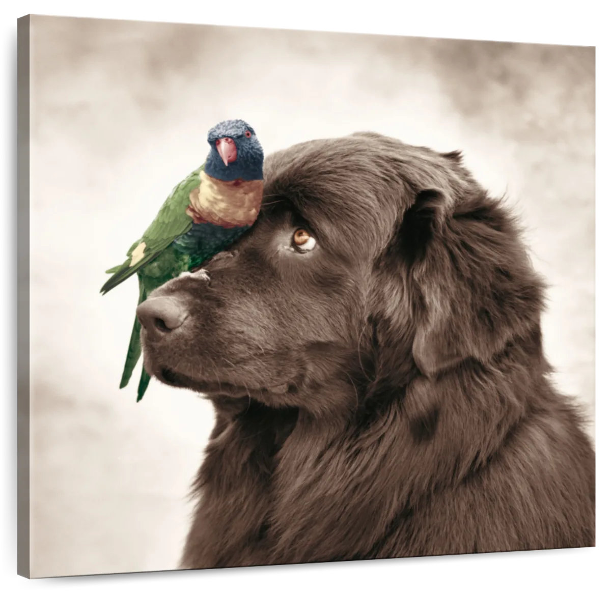 Ebern Designs Brampt Henry And Pipi | Wayfair