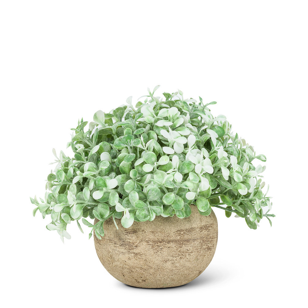 Primrue 3.5" Artificial Foliage Plant in Pot | Wayfair