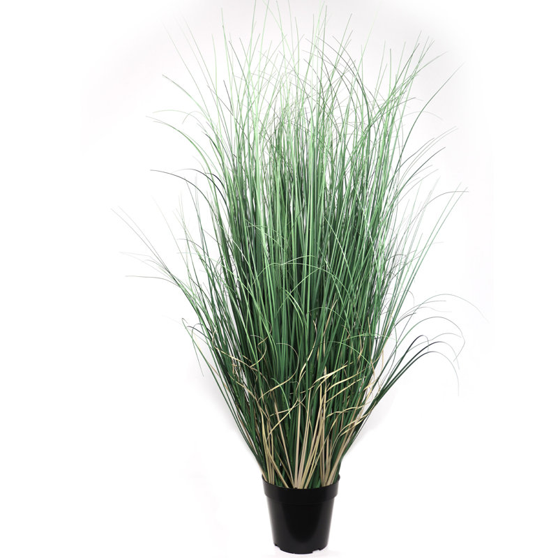 Primrue 4-foot Lifelike Curly Grass Plant - 1-piece - Elegant ...