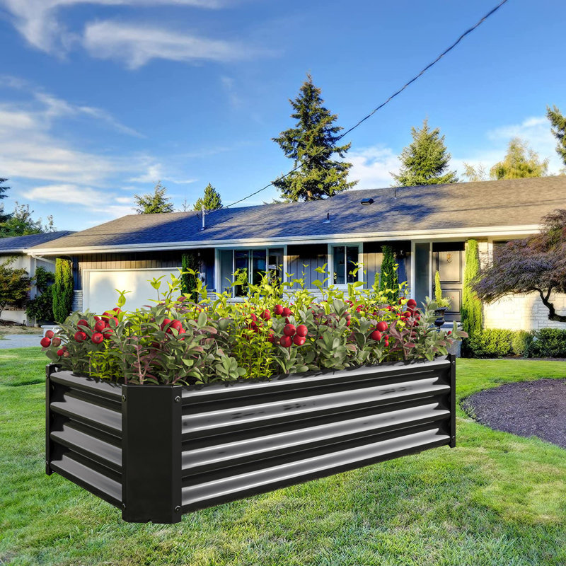 Arlmont & Co. Rothbury Metal Outdoor Raised Garden Bed | Wayfair